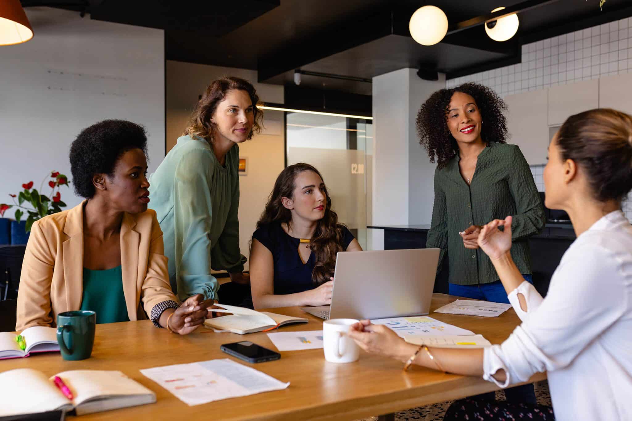 Political Campaign Team Structure - Women Campaign